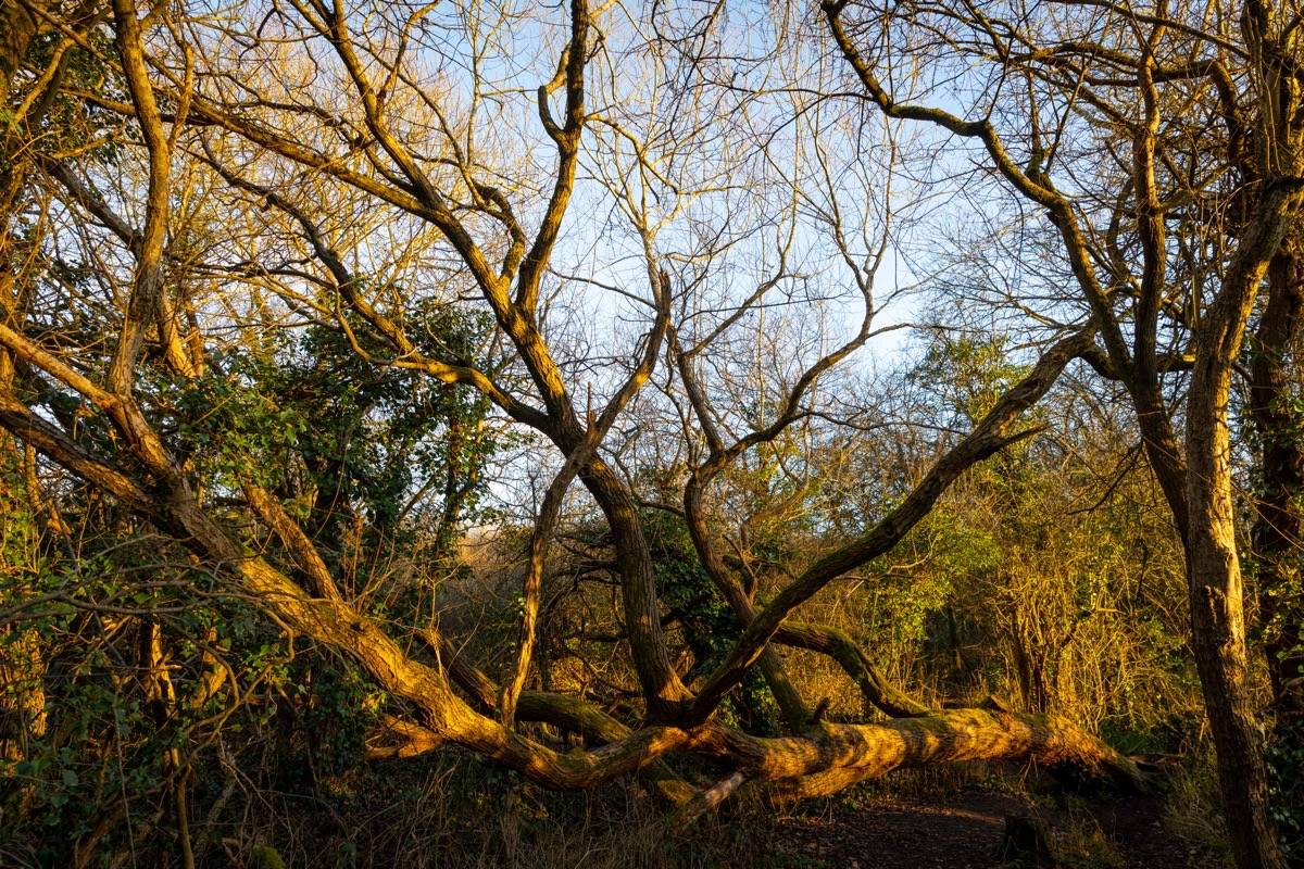 Arrow Valley Country Park - Damien Walmsley | Photography
