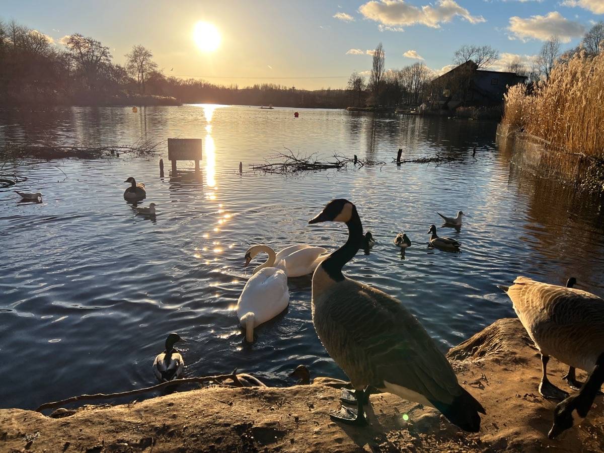 Arrow Valley Country Park - Damien Walmsley | Photography